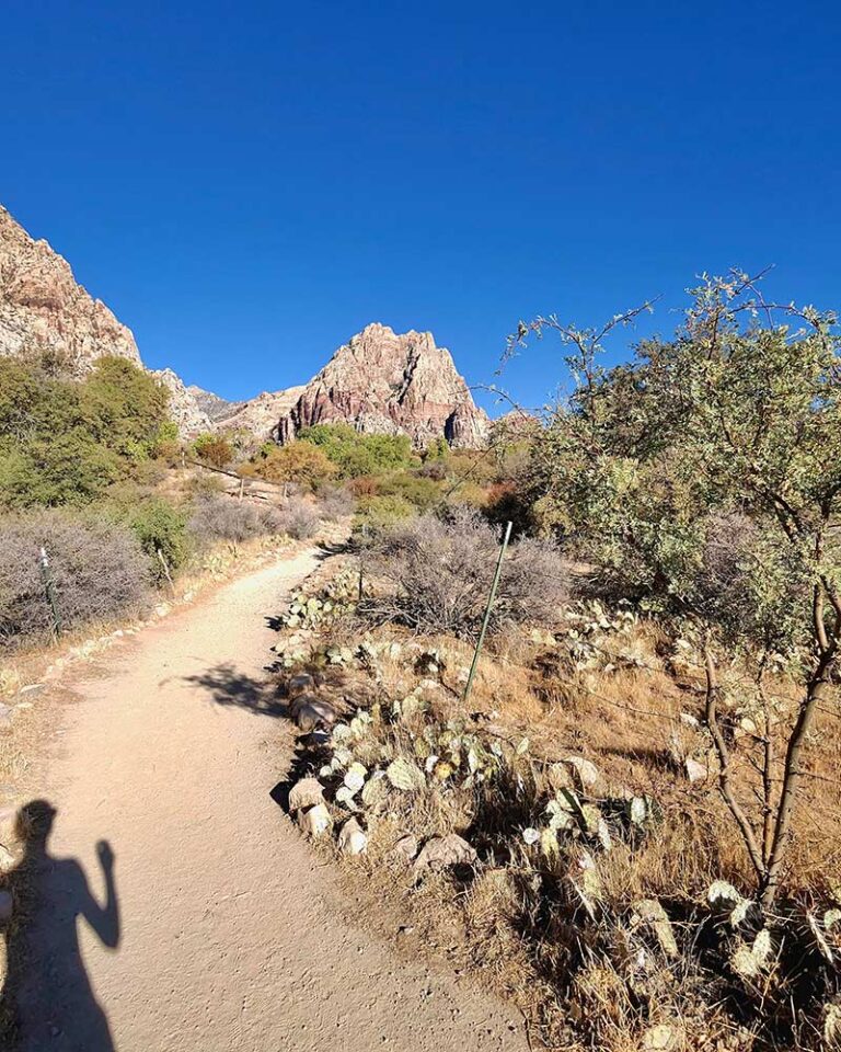 Ray-Ban Meta smart glasses review | What, why & how to choose the right ...